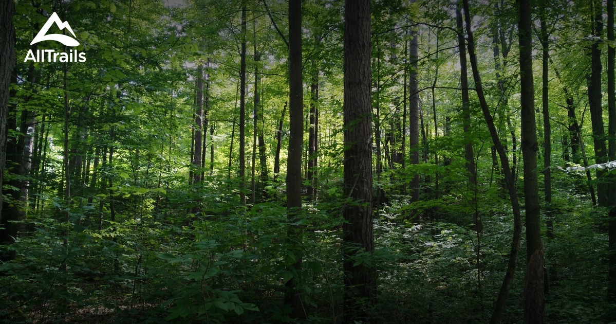 Best hikes and trails in Eldred King Woodlands | AllTrails