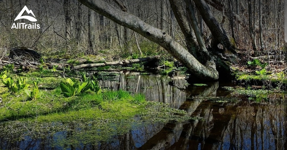 Best hikes and trails in Herb Hadfield Conservation Area | AllTrails