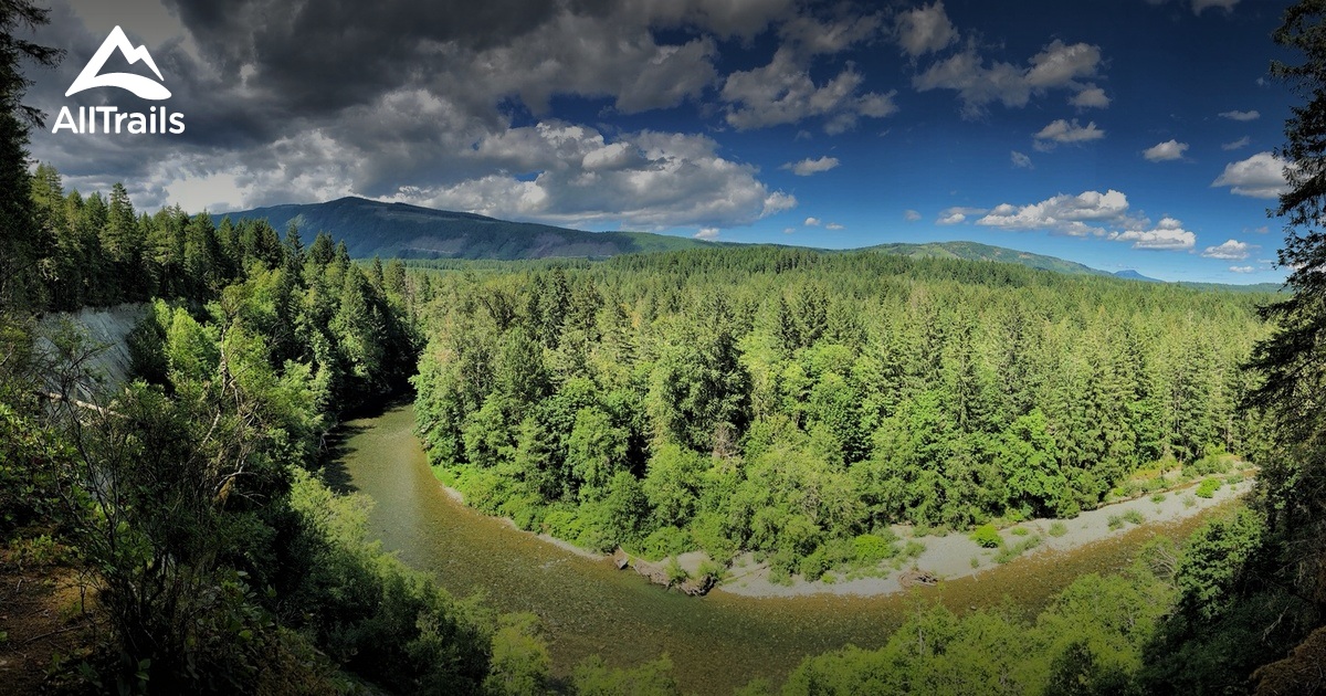 10 Best hikes and trails in Cowichan River Provincial Park | AllTrails