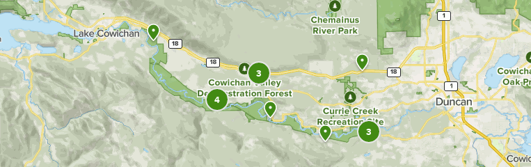 Best Trails in Cowichan River Provincial Park | AllTrails