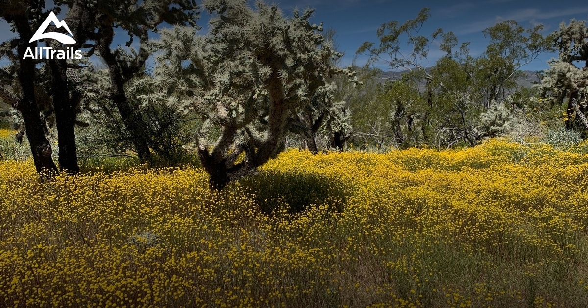 Best hikes and trails in High Desert Park | AllTrails