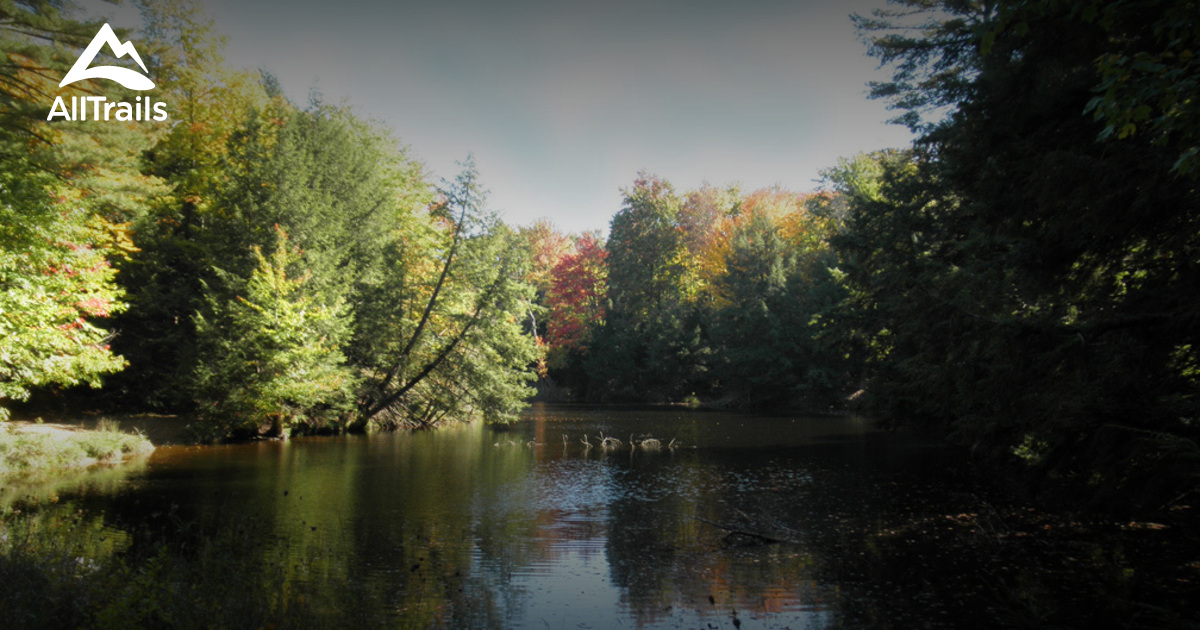 10 Best hikes and trails in Copeland Forest | AllTrails