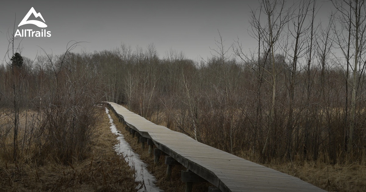 Best hikes and trails in Clifford E Lee Nature Sanctuary | AllTrails