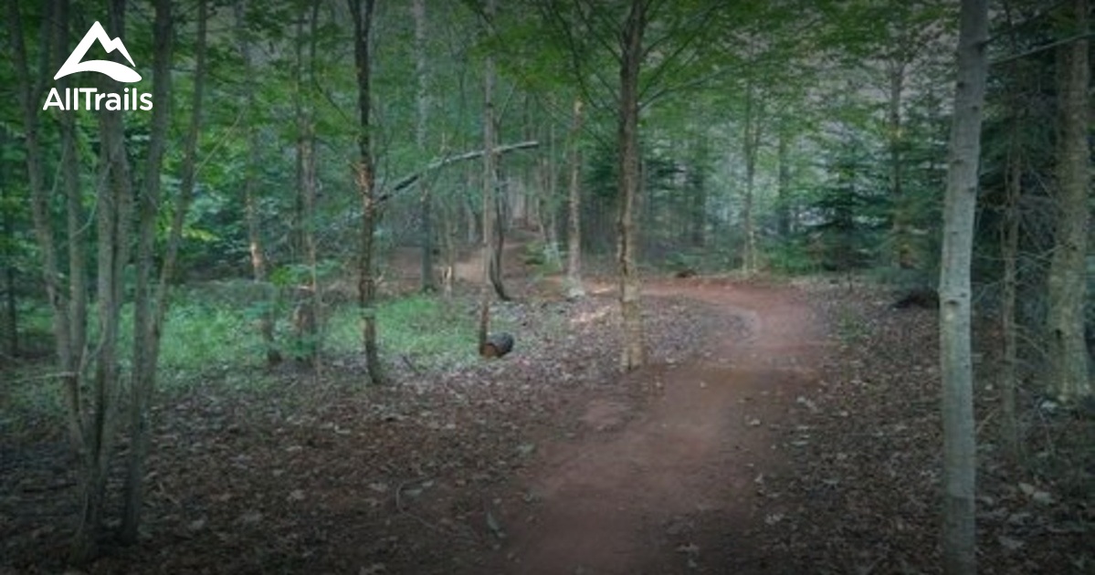 Best hikes and trails in Dromore Woodland Trails | AllTrails