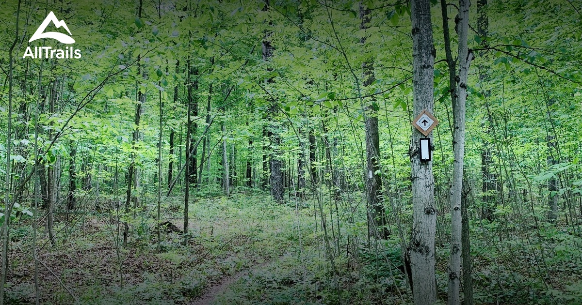 Best hikes and trails in Sydenham Forest Management Area | AllTrails