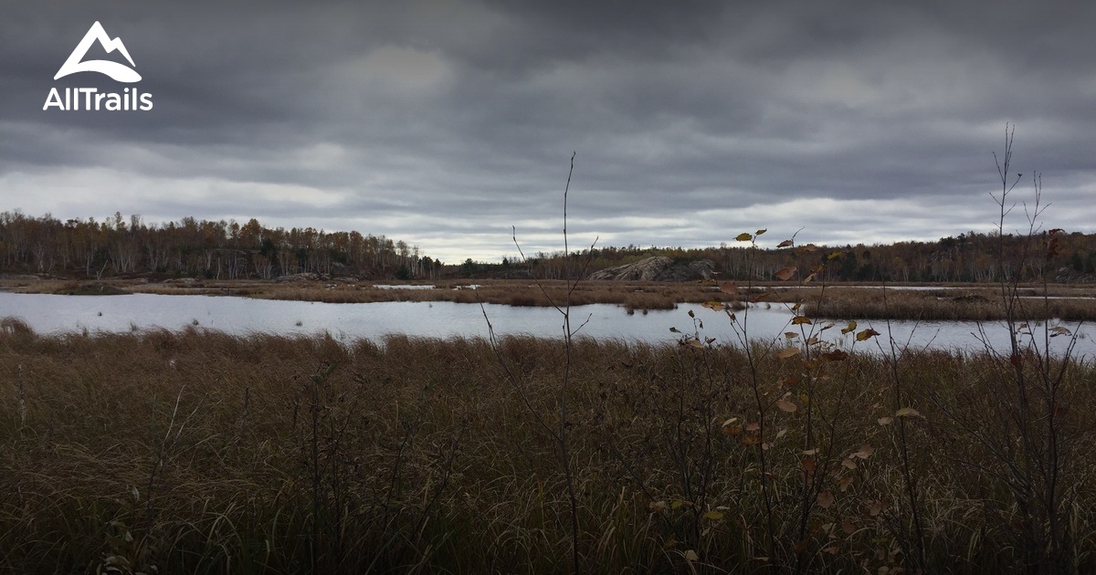 Best hikes and trails in Moonlight Beach Park | AllTrails