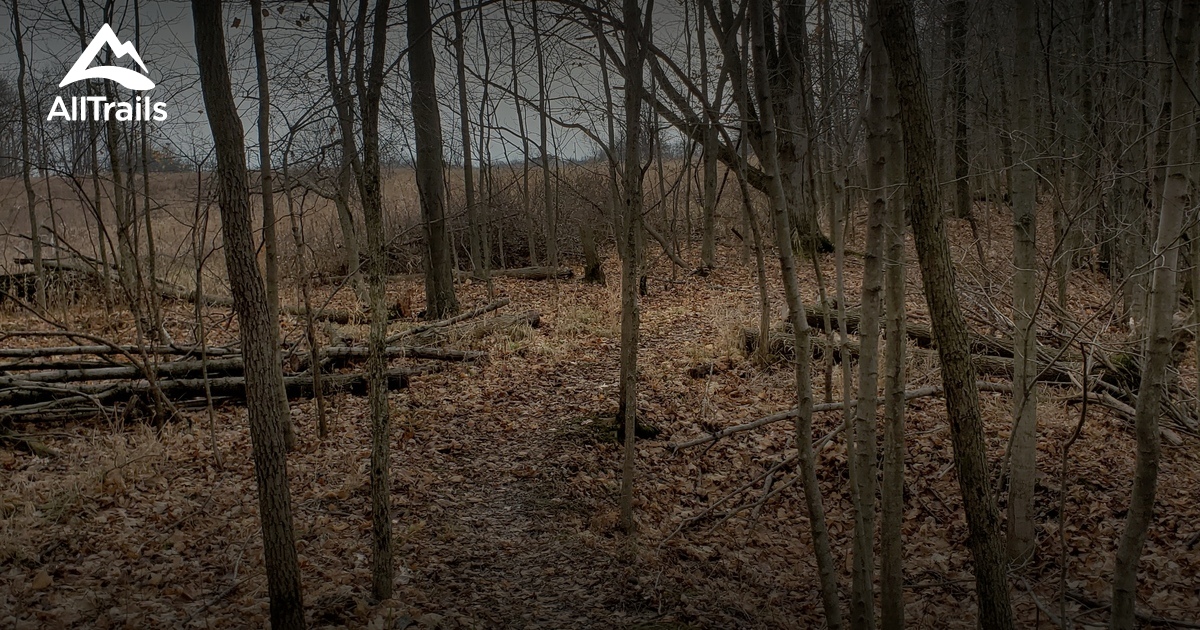 Best hikes and trails in Forrest Nature Preserve | AllTrails