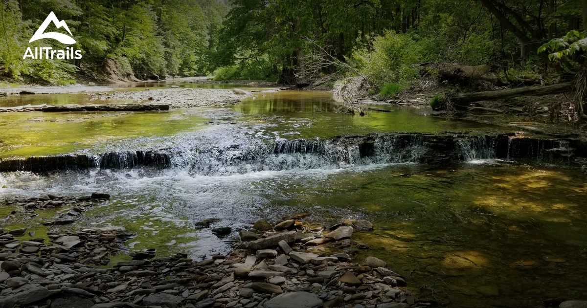 Best hikes and trails in Hell Hollow Wilderness Area | AllTrails