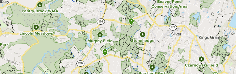 Best Hikes and Trails in Ogilvie Town Forest | AllTrails