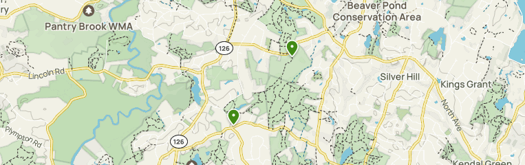 Best Hikes and Trails in Ogilvie Town Forest | AllTrails