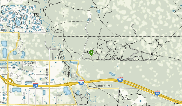 Best Trails in T. Mabry Carlton, Jr. Memorial Reserve - Florida | AllTrails