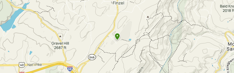 Best Hikes and Trails in Finzel Swamp Preserve | AllTrails