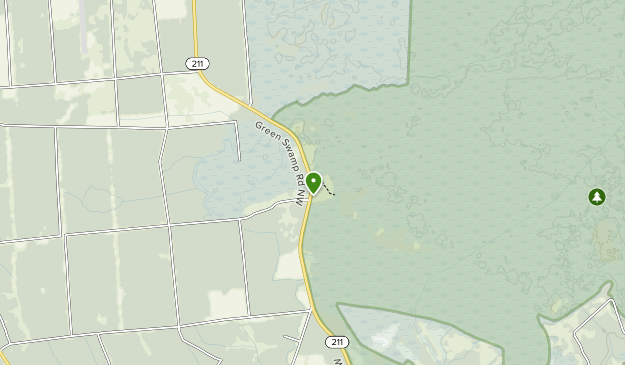 Best Trails in Green Swamp Preserve - North Carolina | AllTrails