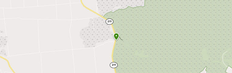 Best Trails in Green Swamp Preserve - North Carolina | AllTrails