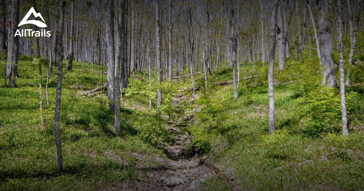 Best long trails in The Parklands of Floyds Fork: Turkey Run Park ...