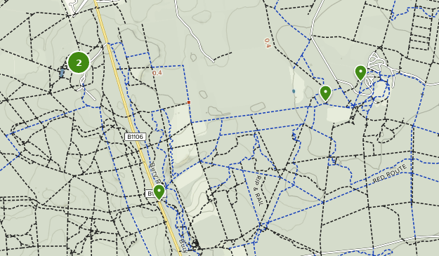 Best Trails in Brandon Country Park - Suffolk, England | AllTrails