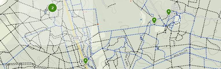 Best Trails in Brandon Country Park - Suffolk, England | AllTrails