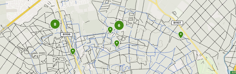 Brandon Country Park – 10 najlepszych szlaków | AllTrails