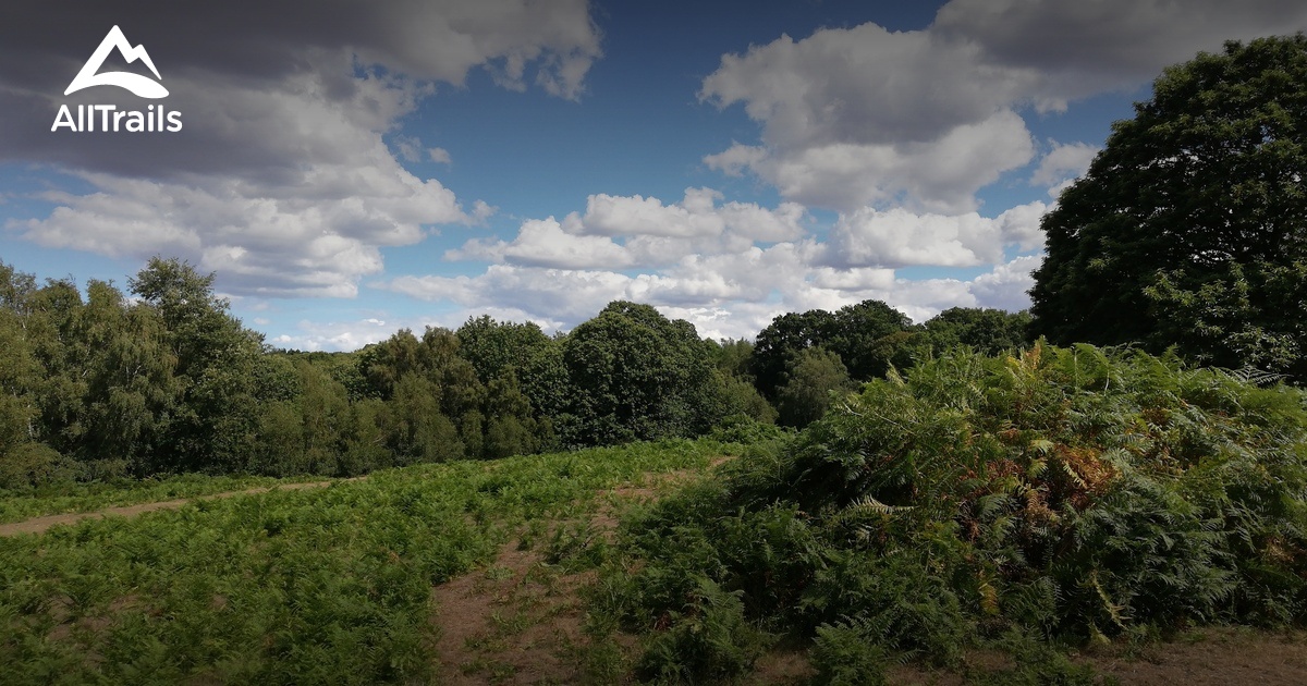 Best hikes and trails in Shorne Woods Country Park | AllTrails