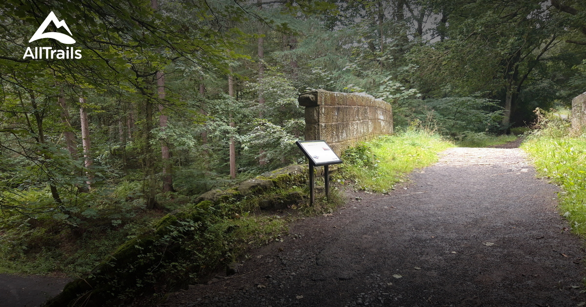 10 Best forest trails in Chopwell Wood | AllTrails