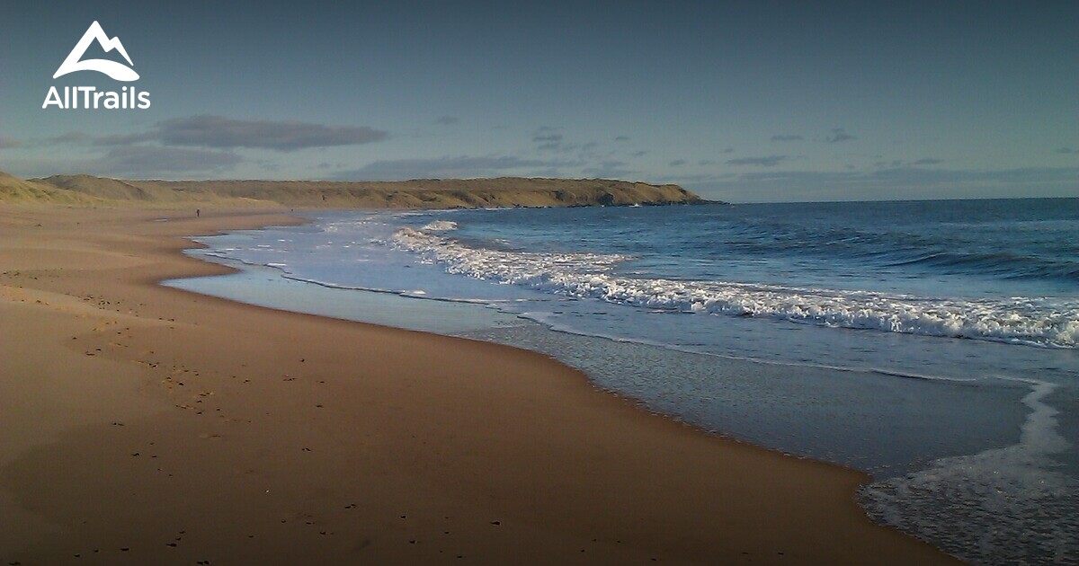 Best beach trails in Forvie National Nature Reserve | AllTrails