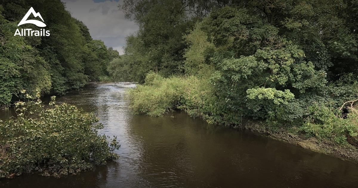 Best hikes and trails in Buck Wood | AllTrails