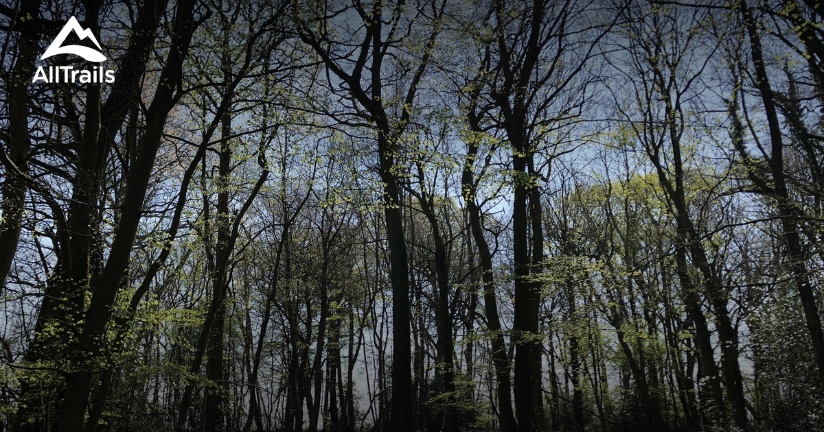 10 Best hikes and trails in Wendover Woods | AllTrails
