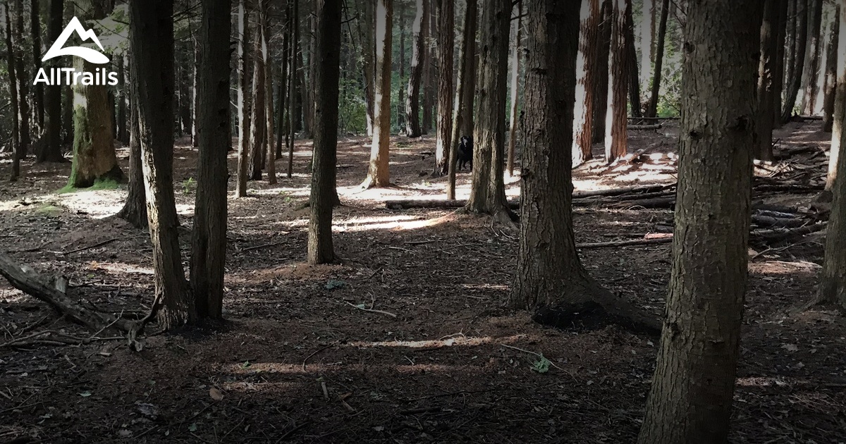 Best lake trails in Stover Park | AllTrails