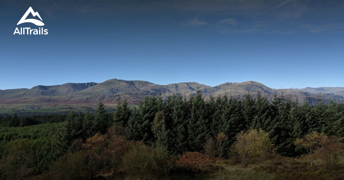 Best hikes and trails in Grizedale Forest | AllTrails