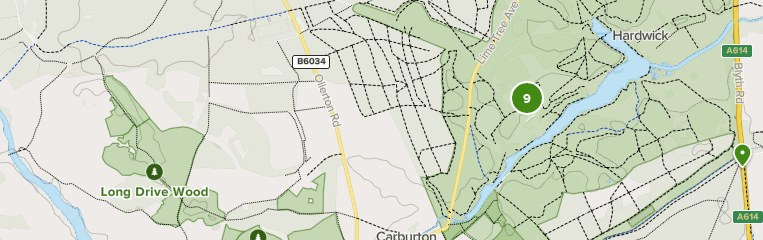 Clumber Park: as 10 melhores trilhas | AllTrails