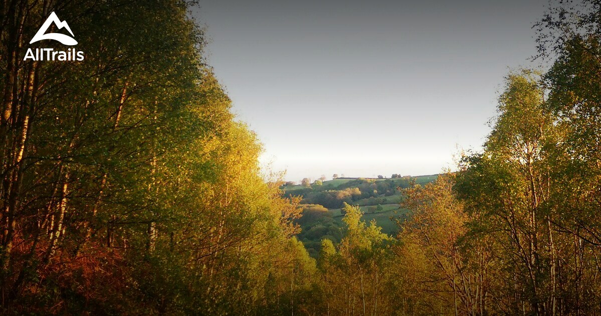 Best walking trails in Wharncliffe Woods | AllTrails