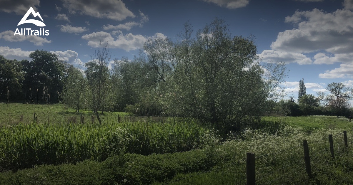 Best walking trails in Stanborough Park | AllTrails