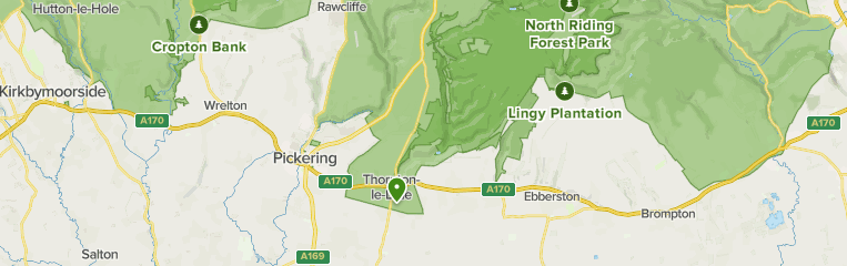 As melhores trilhas em Dalby Forest | AllTrails