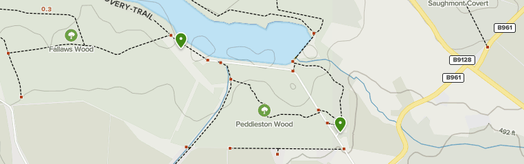 Best Trails in Crombie Country Park - Angus, Scotland | AllTrails