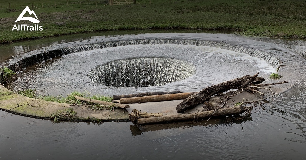 Best forest trails in Erddig Park | AllTrails