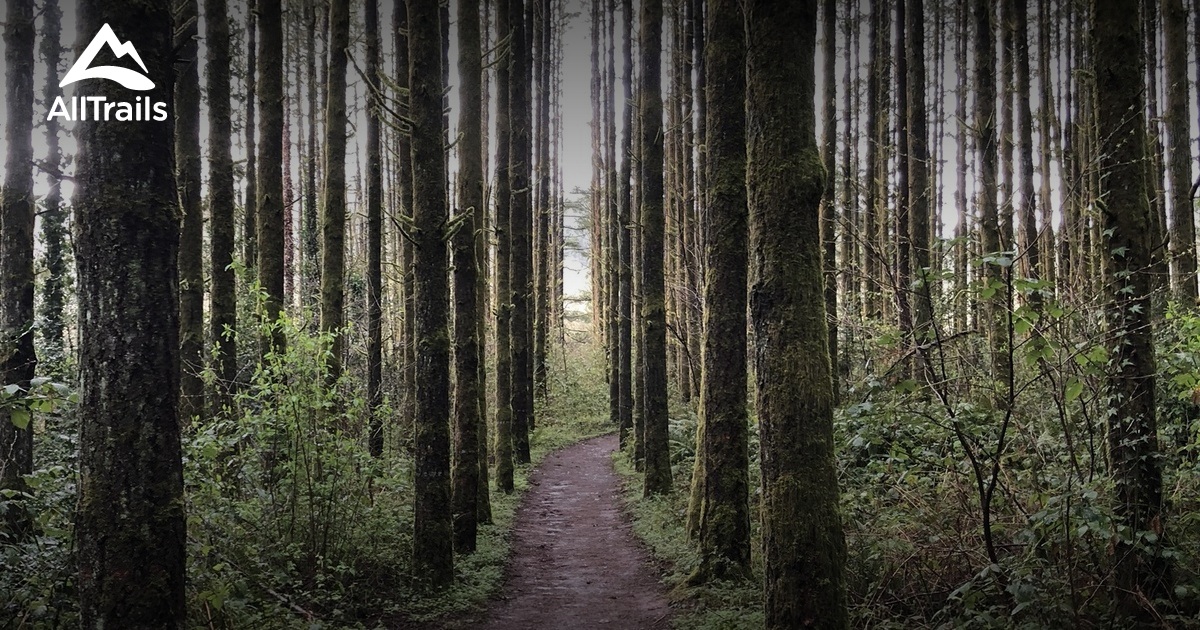 Best Trails in McDonald-Dunn Forest - Oregon | AllTrails