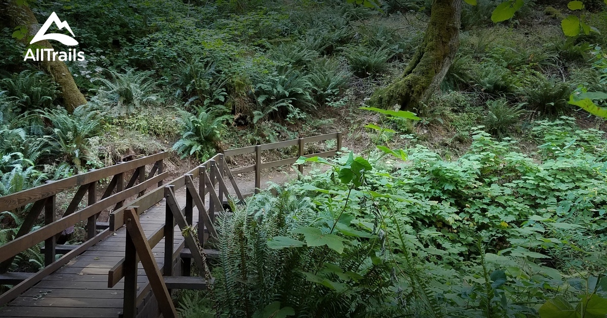 Best Trails in McDonald-Dunn Forest - Oregon | AllTrails