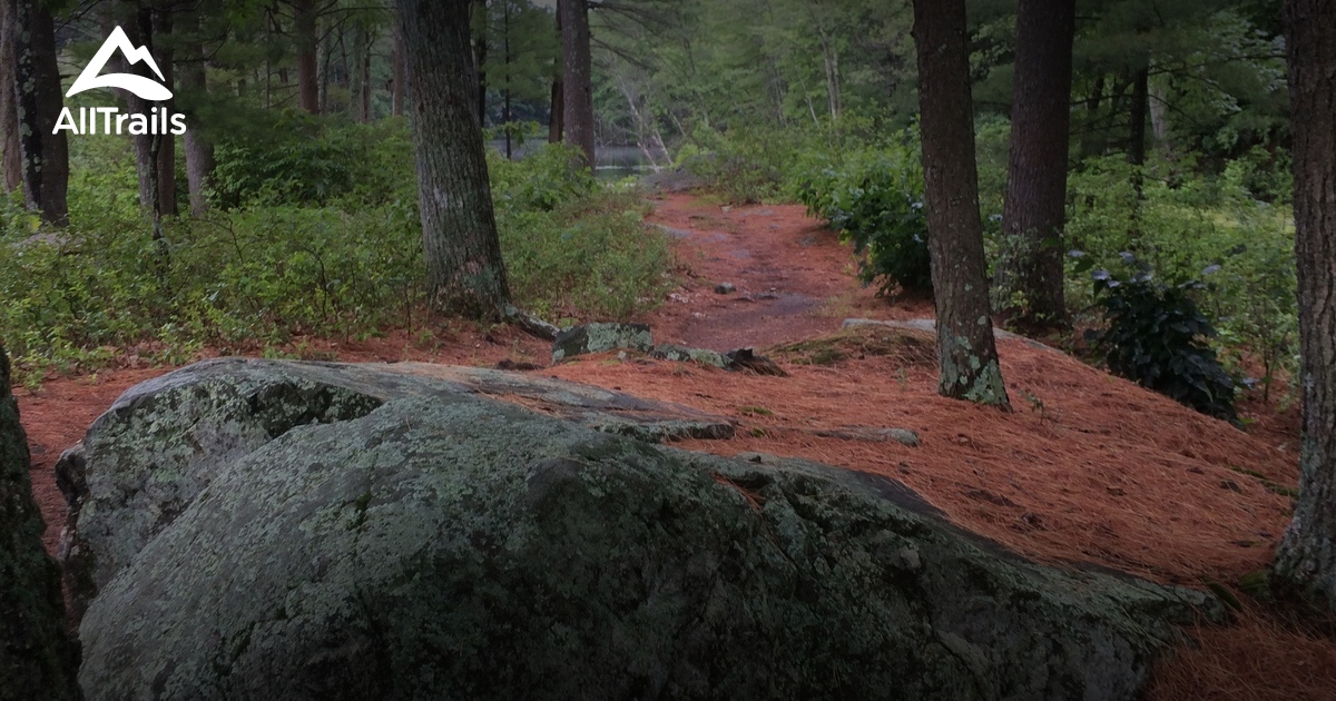 Best hikes and trails in Mainstone Farm and Hamlen Woods | AllTrails