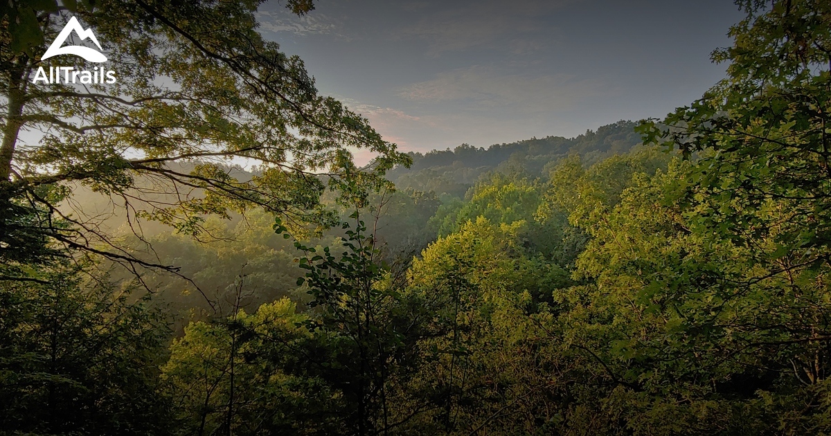 Best hikes and trails in Green's Bluff Nature Preserve | AllTrails