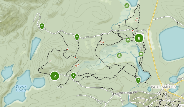 Best Trails in Paul Smith's College Visitor Interpretive Center - New York | AllTrails