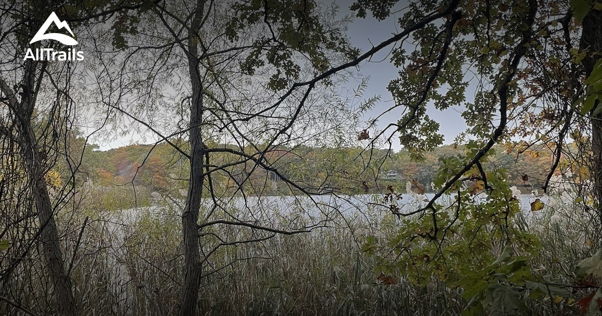 Best hikes and trails in Laurel Lake Preserve | AllTrails