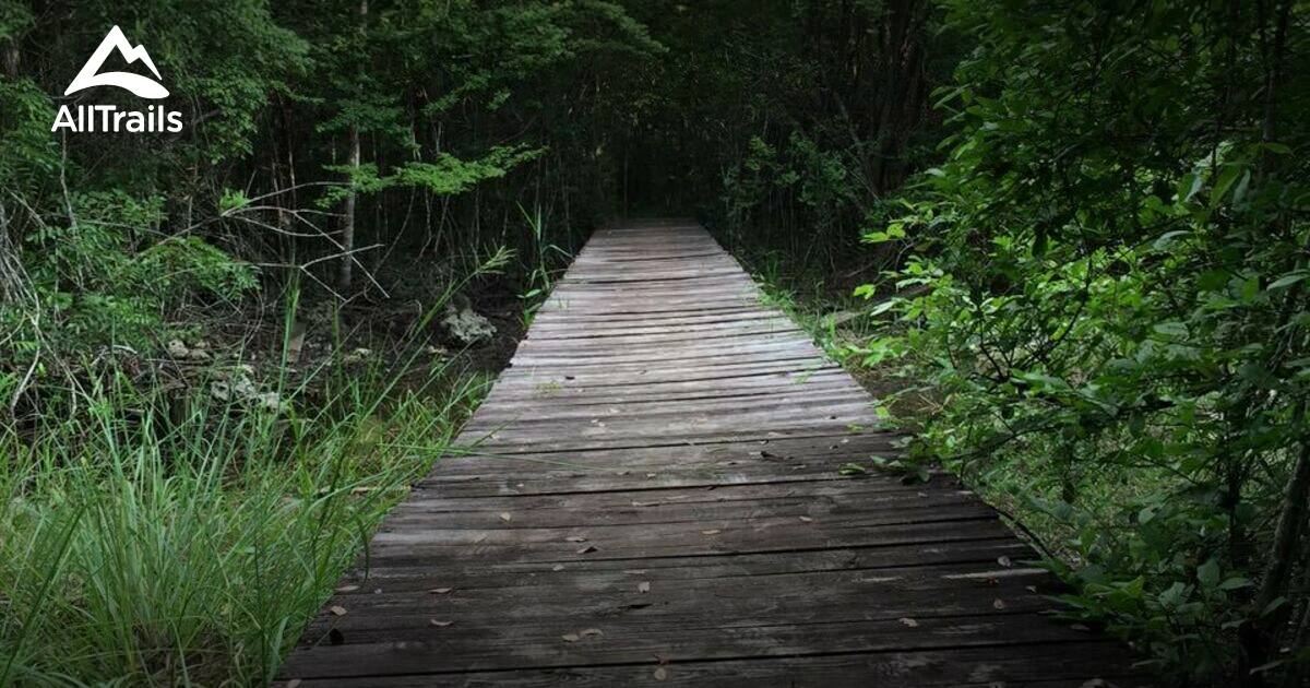 Best moderate trails in The Mastic Reserve | AllTrails