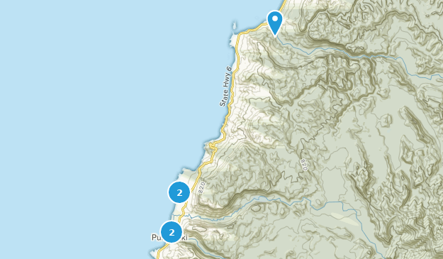 Best Trails in Paparoa National Park - West Coast, New Zealand | AllTrails