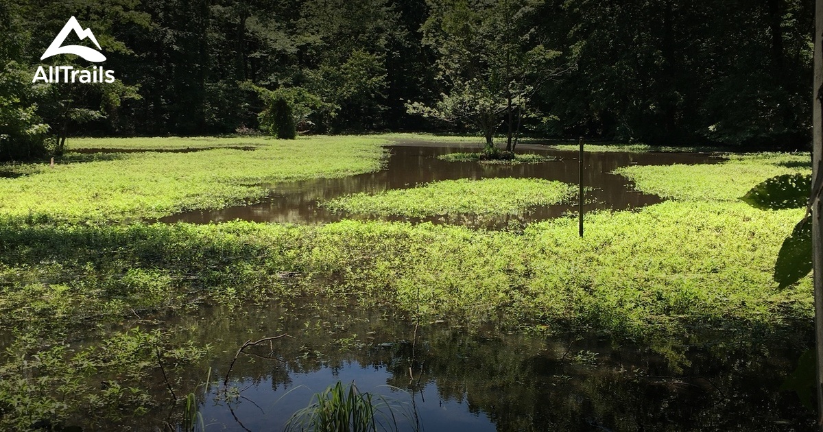 Best hikes and trails in Coldwater River Nature Conservancy | AllTrails