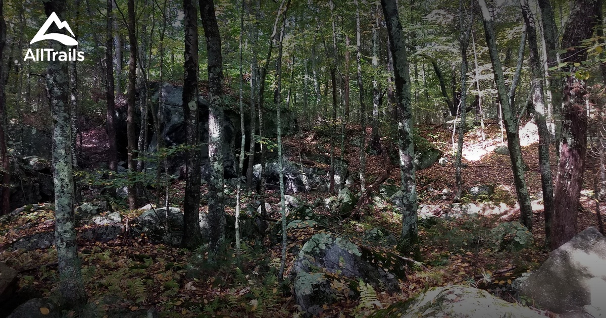 Best forest trails in Breakneck Brook Wildlife Management Area | AllTrails