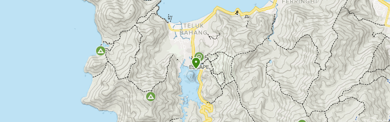 Best 10 Trails in Teluk Bahang Forest Park | AllTrails