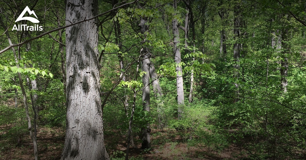 Best hikes and trails in Forest Park Preserve | AllTrails