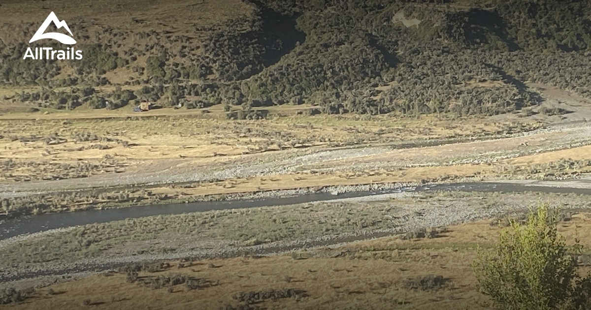 10 Best hikes and trails in Lake Sumner Forest Park | AllTrails