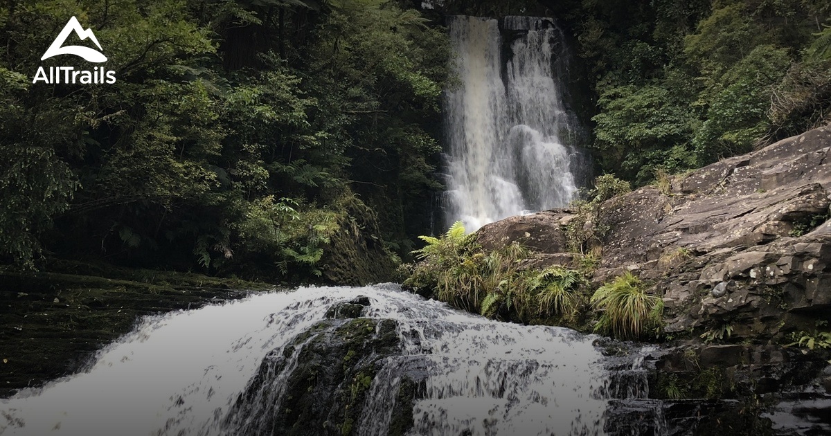 Best hikes and trails in Catlins Forest Park | AllTrails