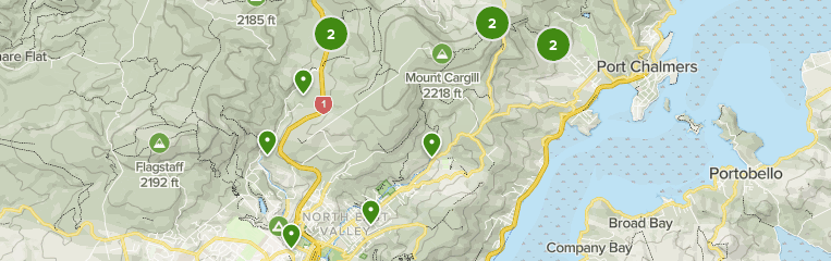 Best Trails in Mount Cargill Scenic Reserve | AllTrails